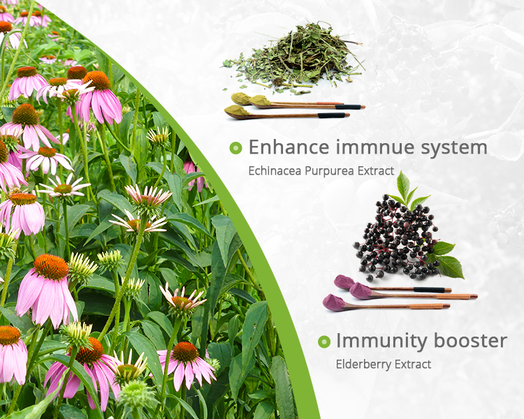 Plant Extract, Herbal Extract, Dry Extract Powder, Natural Ingredient ...