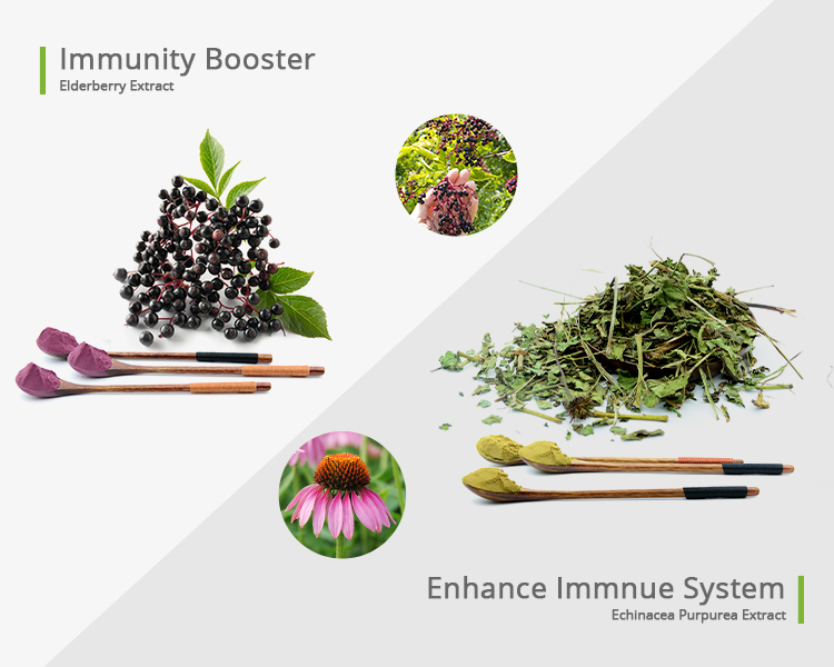 Plant Extract, Herbal Extract, Dry Extract Powder, Natural Ingredient ...